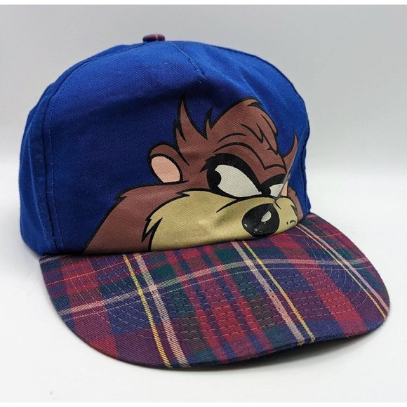 Warner Bros. | Accessories | Vintage 994 Taz Warner Bros Snapback Hat ...